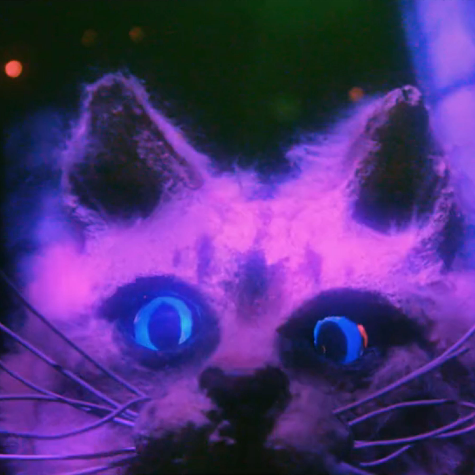 The Art of Skinner | Psychedelic nightmare artwork, bizzare ...