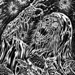 DRAWINGS - The Art of Skinner